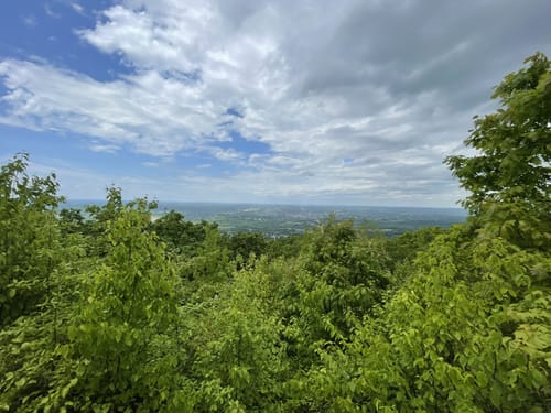 2023 Best Easy Trails in Forbes State Forest | AllTrails