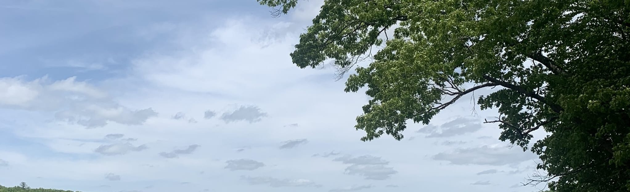 Waldo to Town Park, Connecticut - 66 Reviews, Map | AllTrails