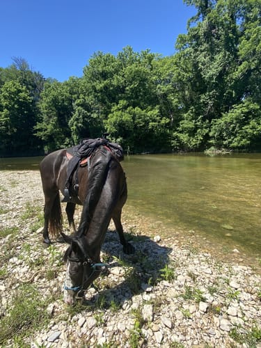 Best Hikes and Trails in Parrie Haynes Ranch | AllTrails