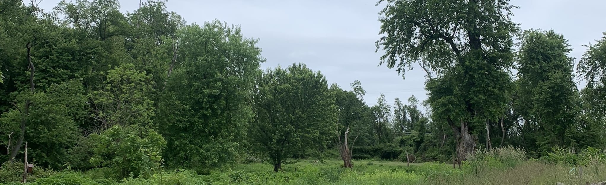 Hermitage Natural Area Blue Trail, Delaware - 3 Reviews, Map | AllTrails
