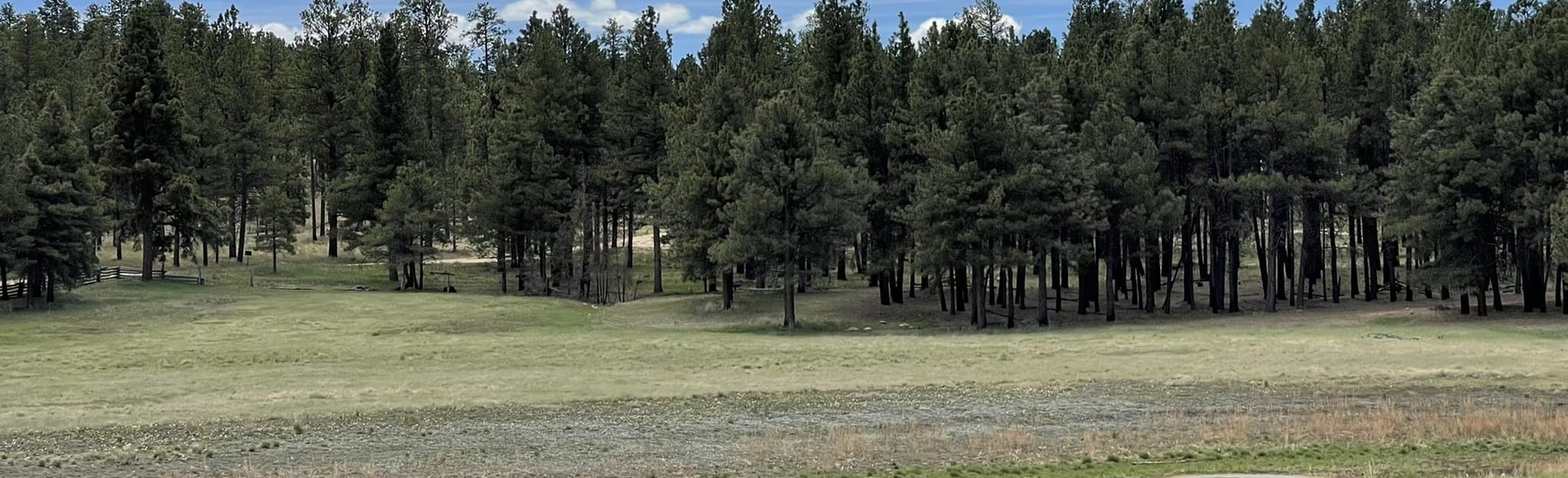 Jacob Lake Trail: 55 Reviews, Map - Arizona | AllTrails