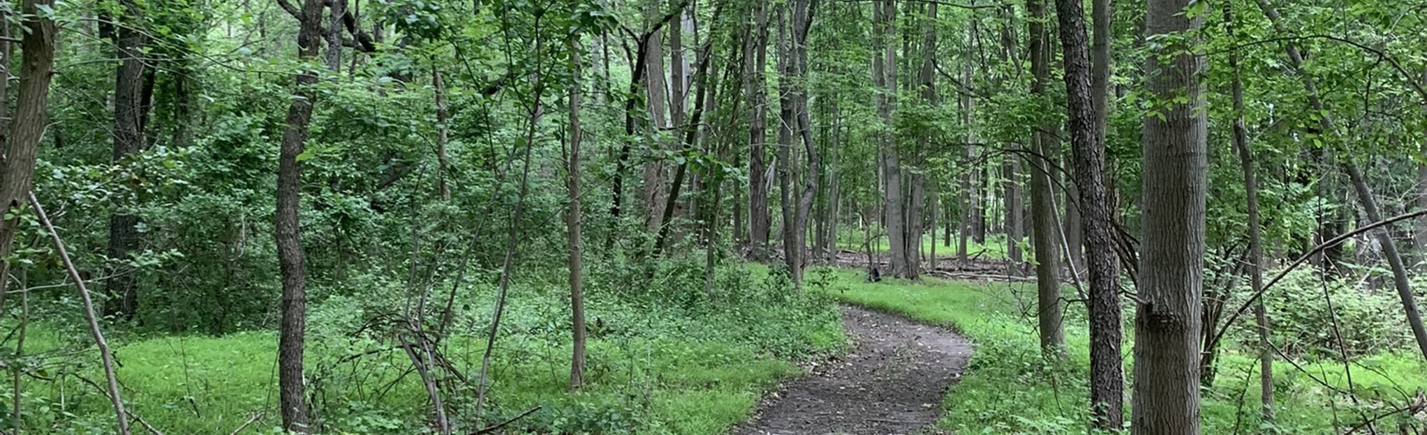 White Trail- Hermitage Natural Area, Delaware - 8 Reviews, Map | AllTrails