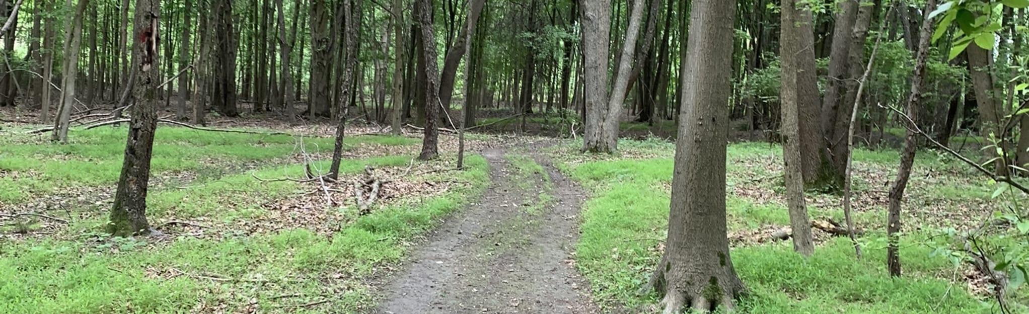 Red Trail- Hermitage Natural Area : 16 Photos - Delaware | Randonnée ...