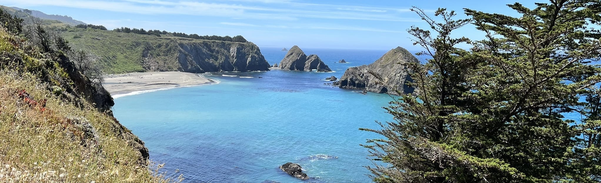 Greenwood State Beach: 33 Reviews, Map - California | AllTrails