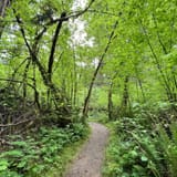 Beaver Lake Park Trail, Washington - 238 Reviews, Map | AllTrails