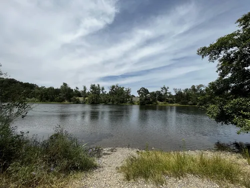 Best Hikes and Trails in American River Parkway | AllTrails