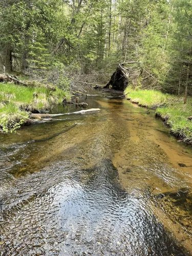 10 Best Hikes and Trails in Huron National Forest | AllTrails