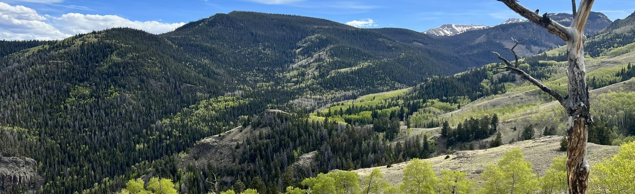 Independence Gulch Trail, Colorado - 31 Reviews, Map | AllTrails