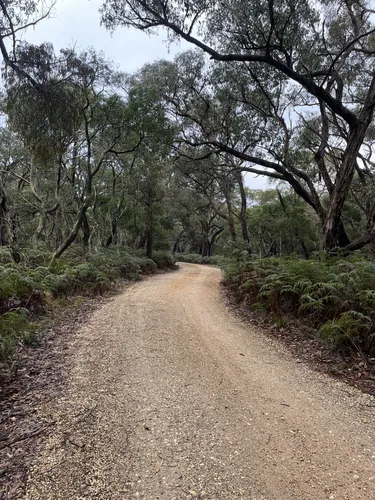 10 Best Off Road Driving Trails in Victoria | AllTrails