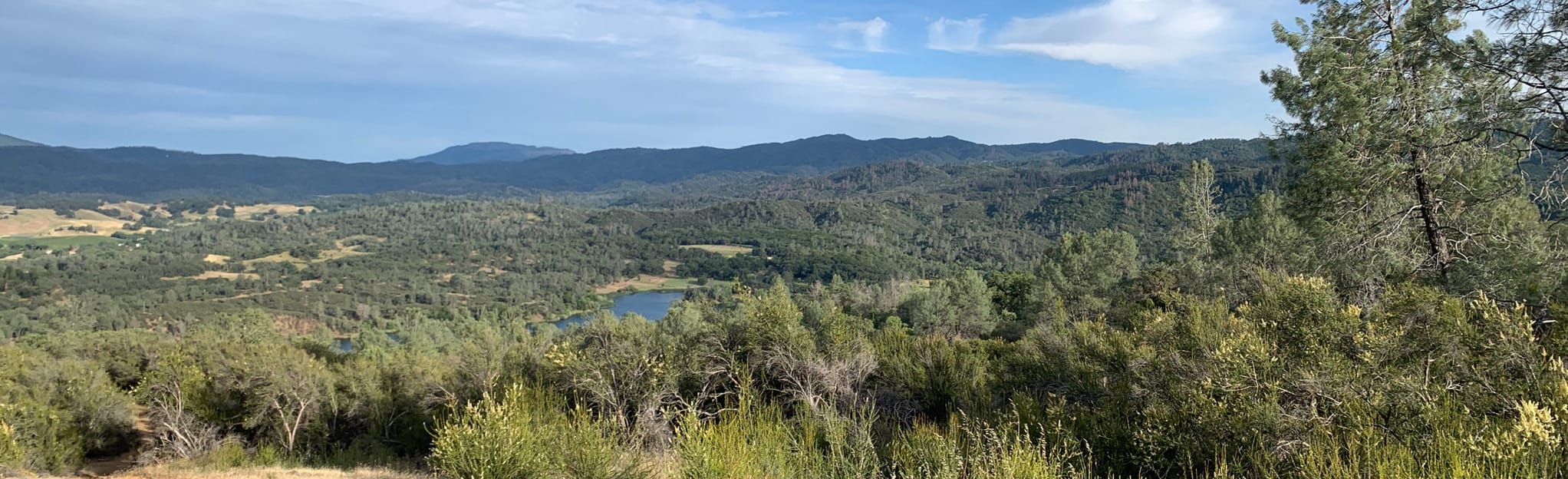 Boot Hill Trail: 30 Reviews, Map - California | AllTrails