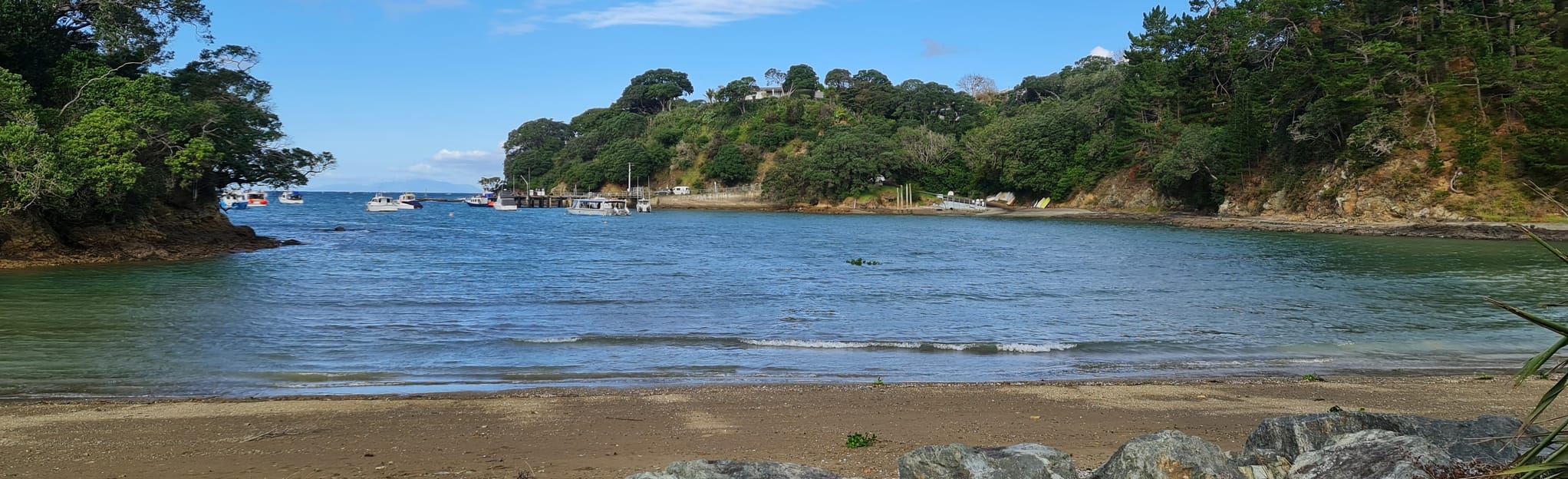 Leigh Harbour Walkway, Auckland, New Zealand - 12 Reviews, Map | AllTrails