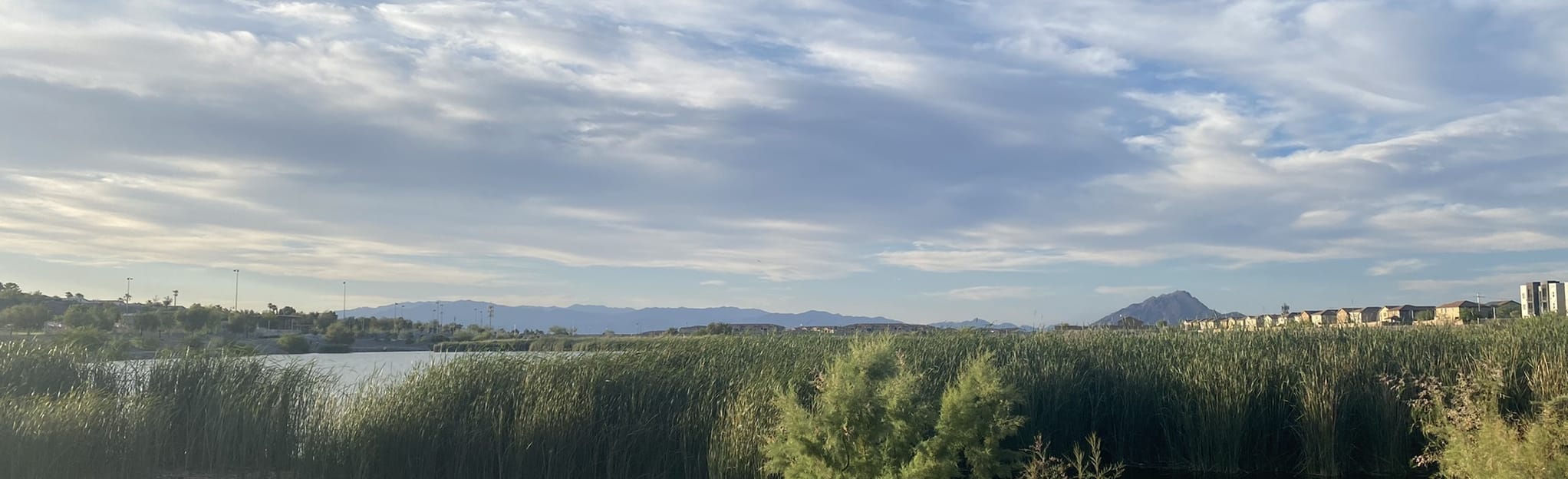 Cornerstone Loop Trail: 626 Reviews, Map - Nevada | AllTrails