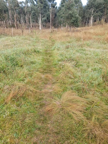 Best Hikes and Trails in Narrabundah Hill Reserve | AllTrails