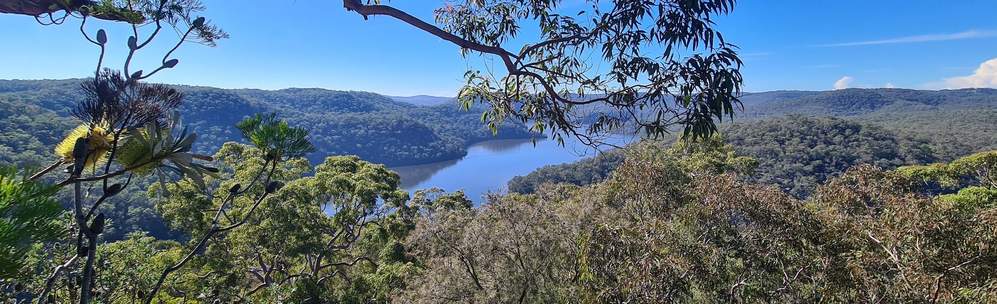 Collingridge Point via Coba Ridge Firetrail: 25 Reviews, Map - New ...