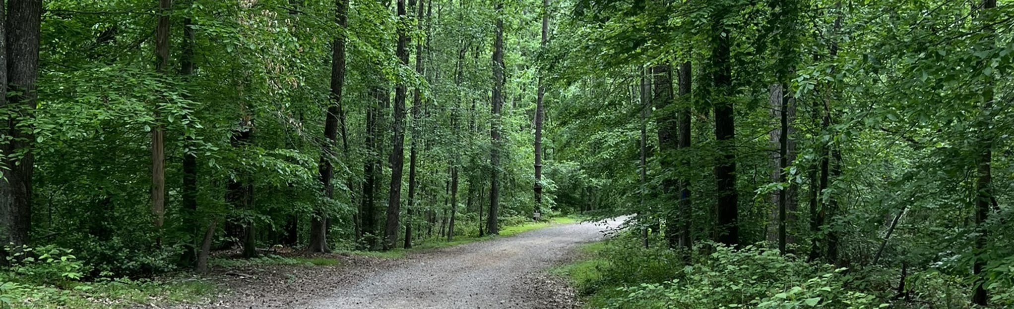 Hampstead Road Trail, Virginia - 152 Reviews, Map | AllTrails