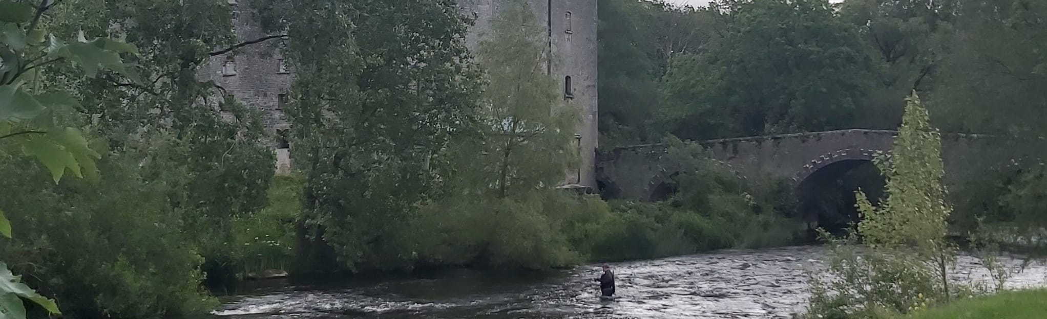 Milford Mill Walk, County Carlow, Ireland - 6 Reviews, Map | AllTrails