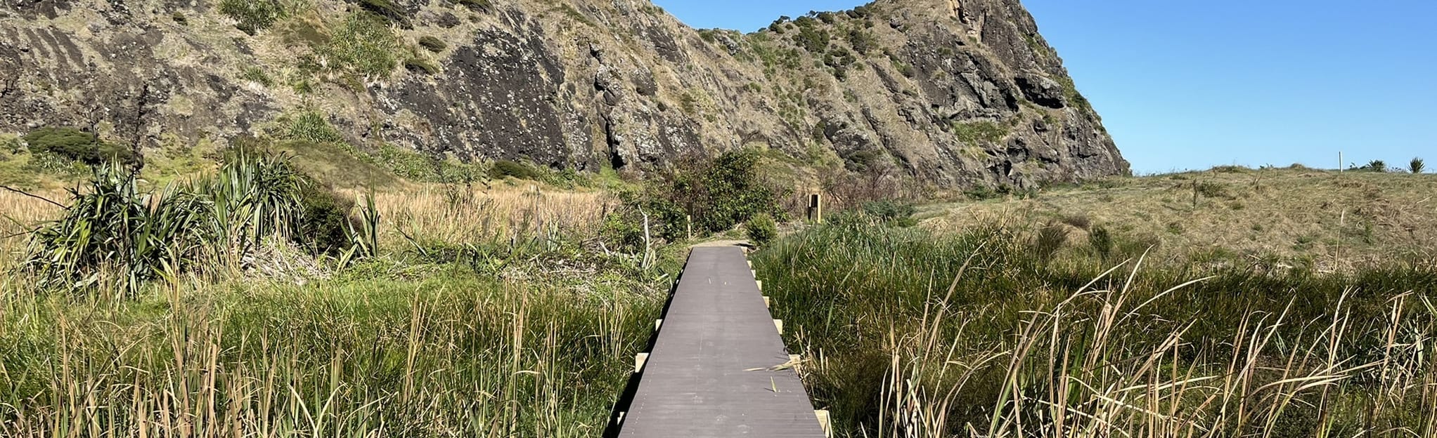Pararaha Coastal Track to Pararaha Valley [CLOSED], Auckland, New ...