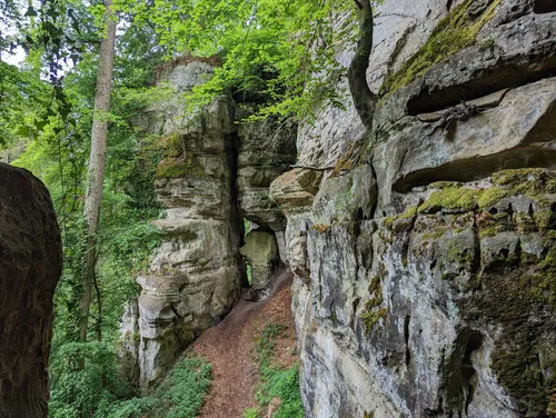10 Best Trails and Hikes in Echternach | AllTrails