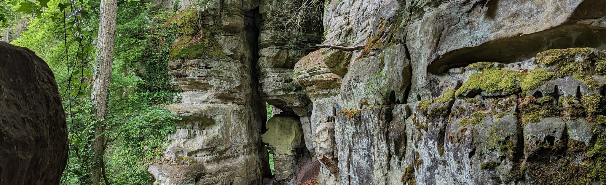Consdorf Höhlen Rundweg: 338 Fotos - Echternach, Luxemburg | AllTrails