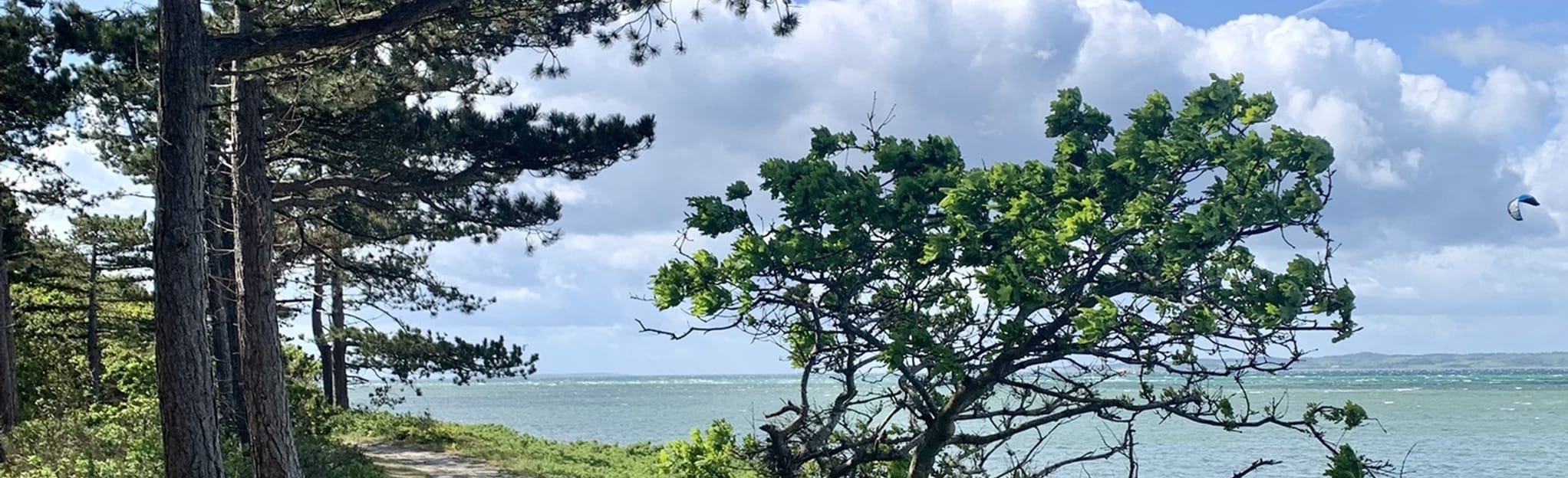 AllTrails | Ahi Plantation Circular: 18 Reviews, Map - Central Denmark ...