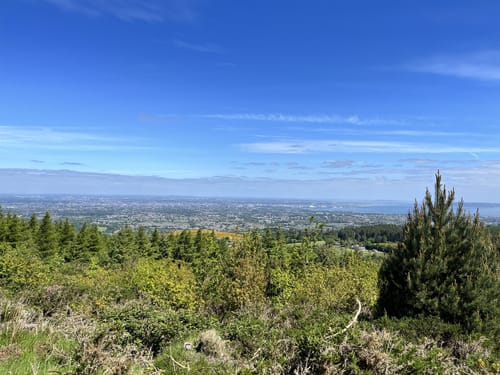 Best 10 Hikes and Trails in Three Rock Wood | AllTrails