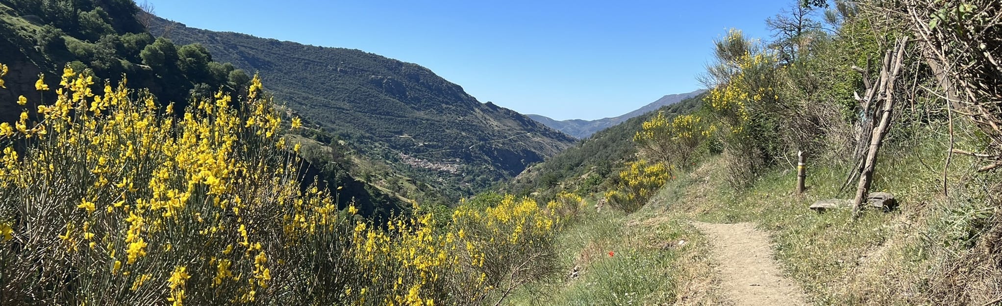Tres Puentes de Capileira, Granada, Spain - 53 Reviews, Map | AllTrails