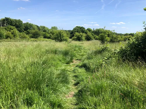 Best Hikes and Trails in Ruislip Woods National Nature Reserve | AllTrails