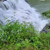 Waterloo Falls, Tennessee - 68 Reviews, Map | AllTrails