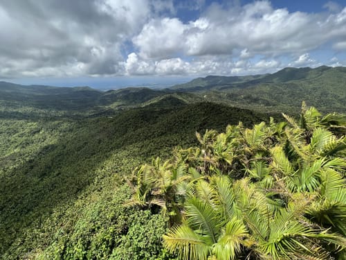 Best 10 Hikes and Trails in El Yunque National Forest | AllTrails