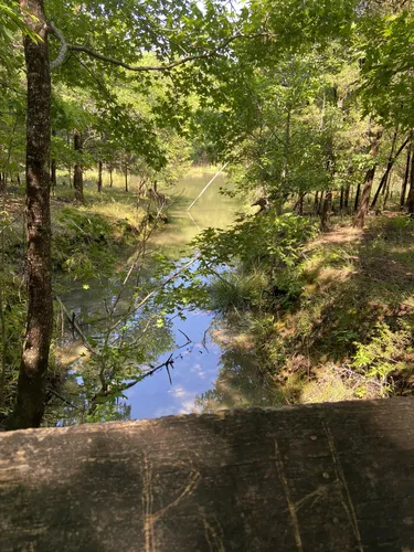 Best Hikes and Trails in Calhoun Falls State Park | AllTrails