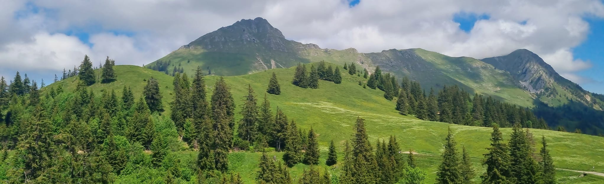 Panoramic Trail of Paccots: 33 Reviews, Map - Fribourg, Switzerland ...