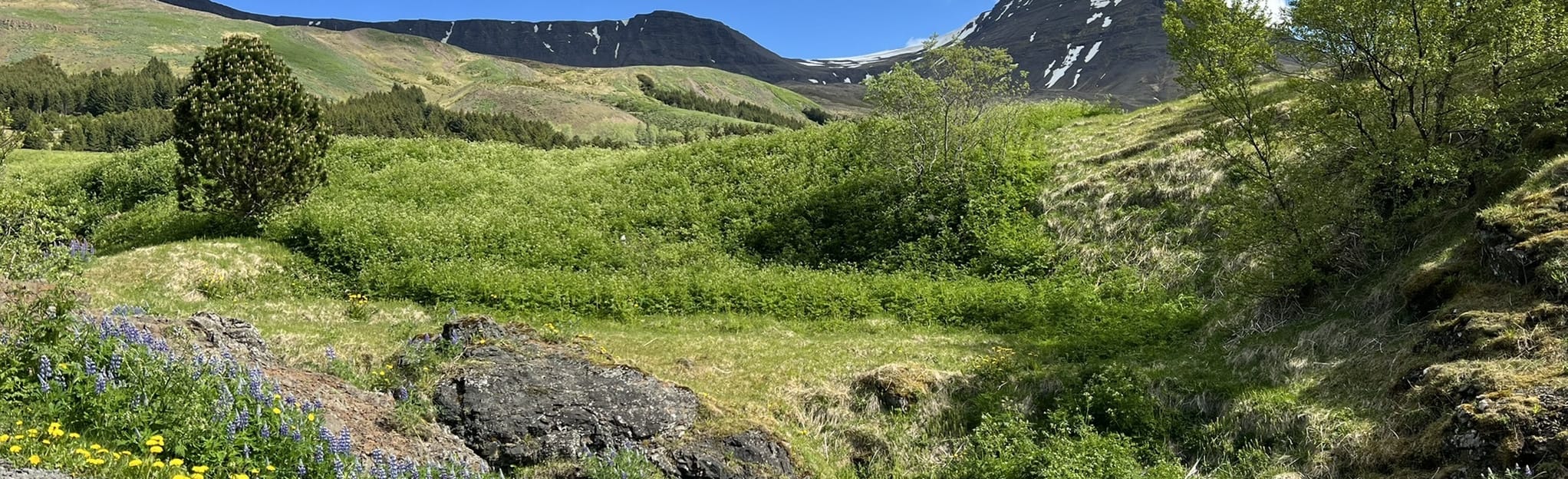 Esja - Gunnlaugsskarð - Hábunga: 10 Reviews, Map - Capital, Iceland ...