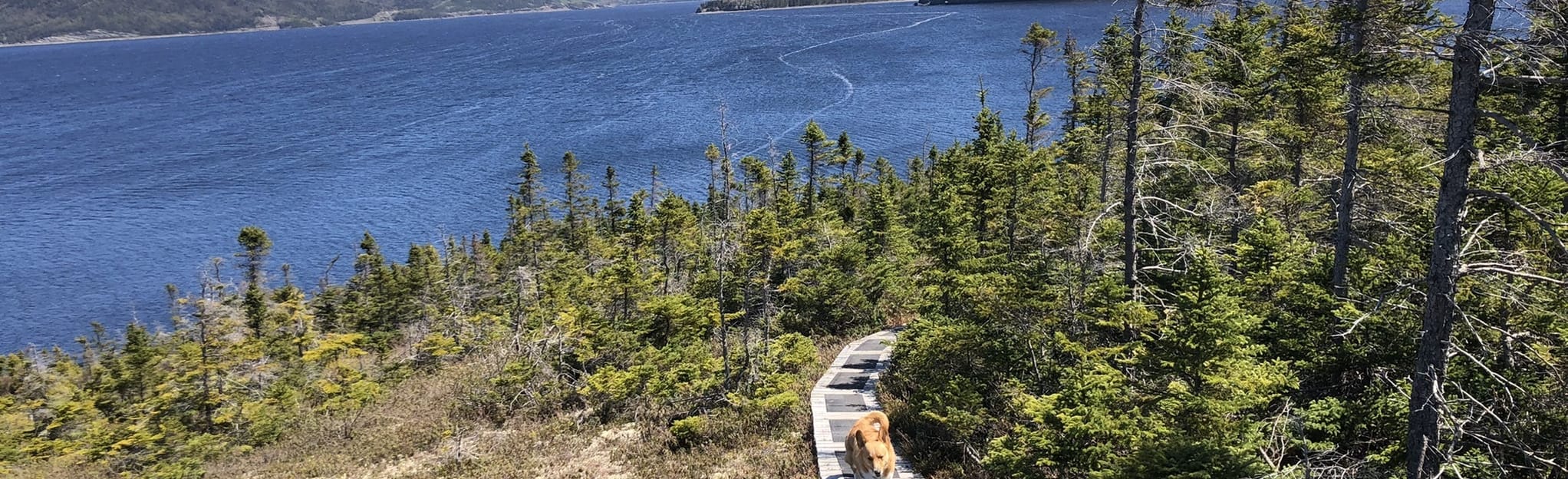 Burnt Hill and Neddy Hill Loop, Newfoundland and Labrador, Canada - 133 ...