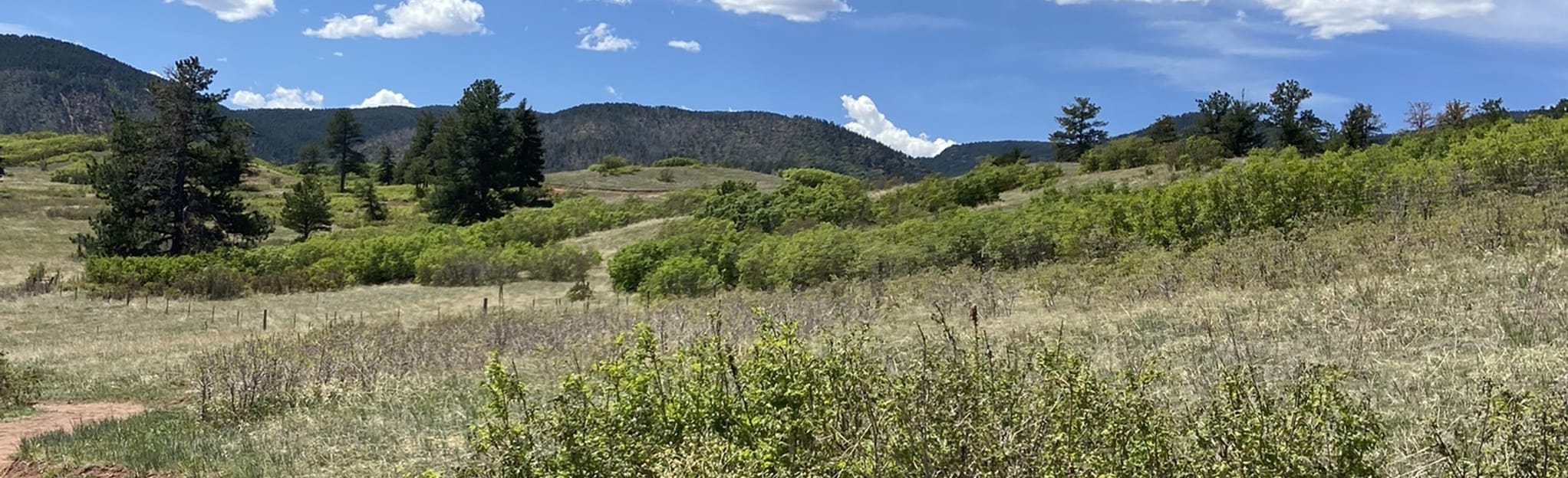 Sandstone Meadow Loop: 337 Reviews, Map - Colorado | AllTrails