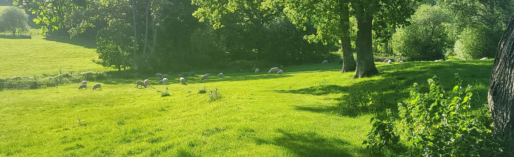 Hangers Way Part 1, Hampshire, England - 3 Reviews, Map | AllTrails