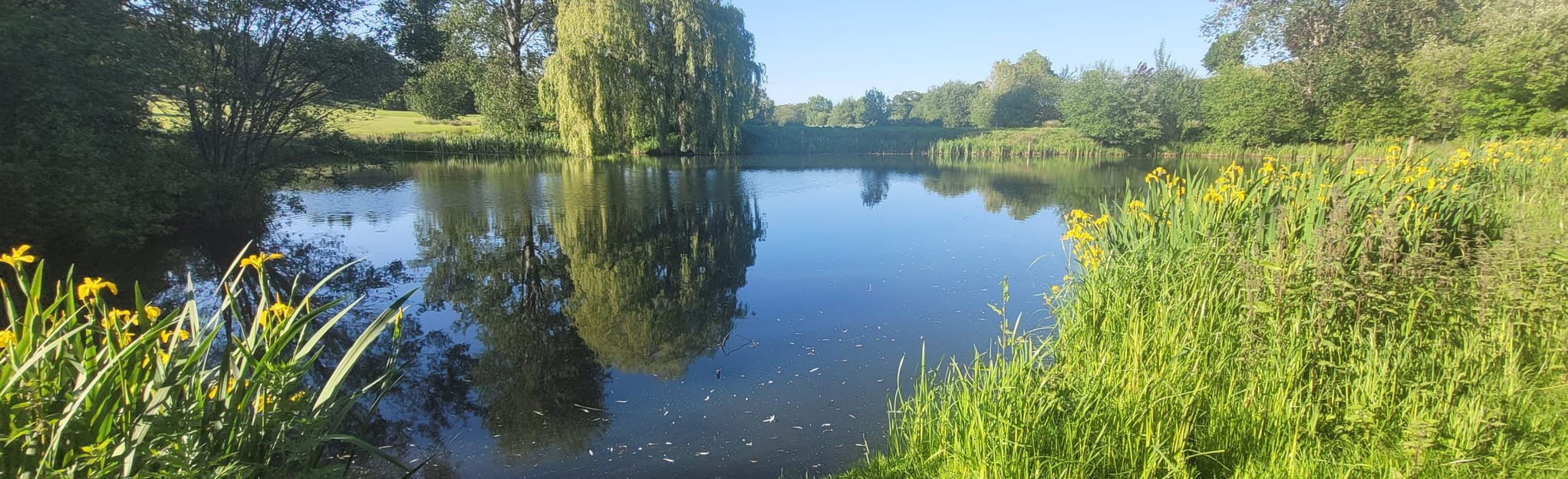 Worldham and Warner's Wood Circular, Hampshire, England - 65 Reviews ...