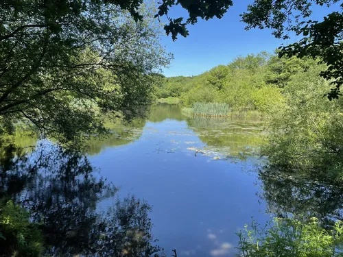10 Best Waterfall Trails in Neath Port Talbot | AllTrails