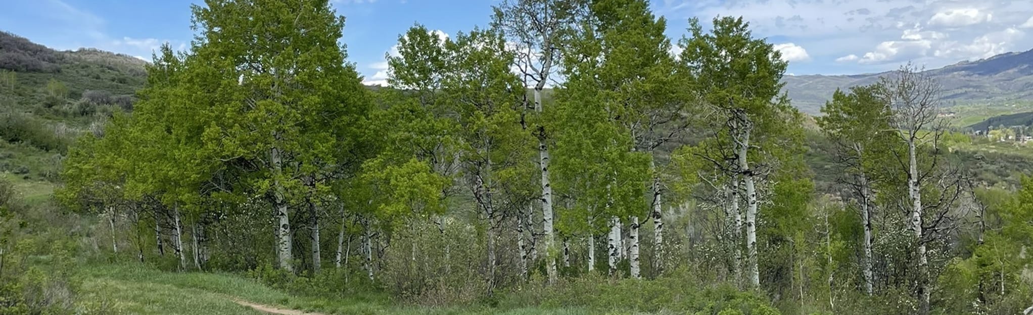 Bluff's Loop Trail: 198 Reviews, Map - Colorado | AllTrails