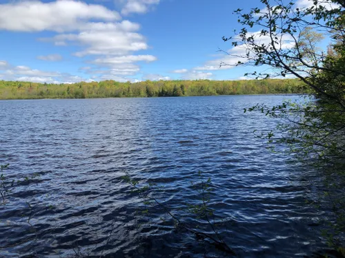 Best Hikes and Trails in Rib Lake | AllTrails