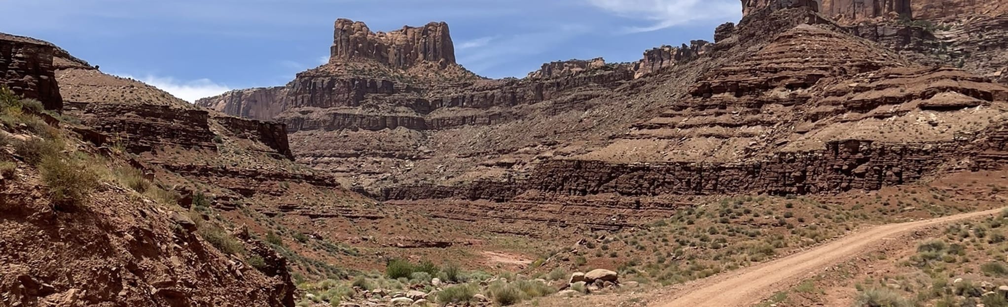Long Canyon OHV Route: 291 Reviews, Map - Utah | AllTrails