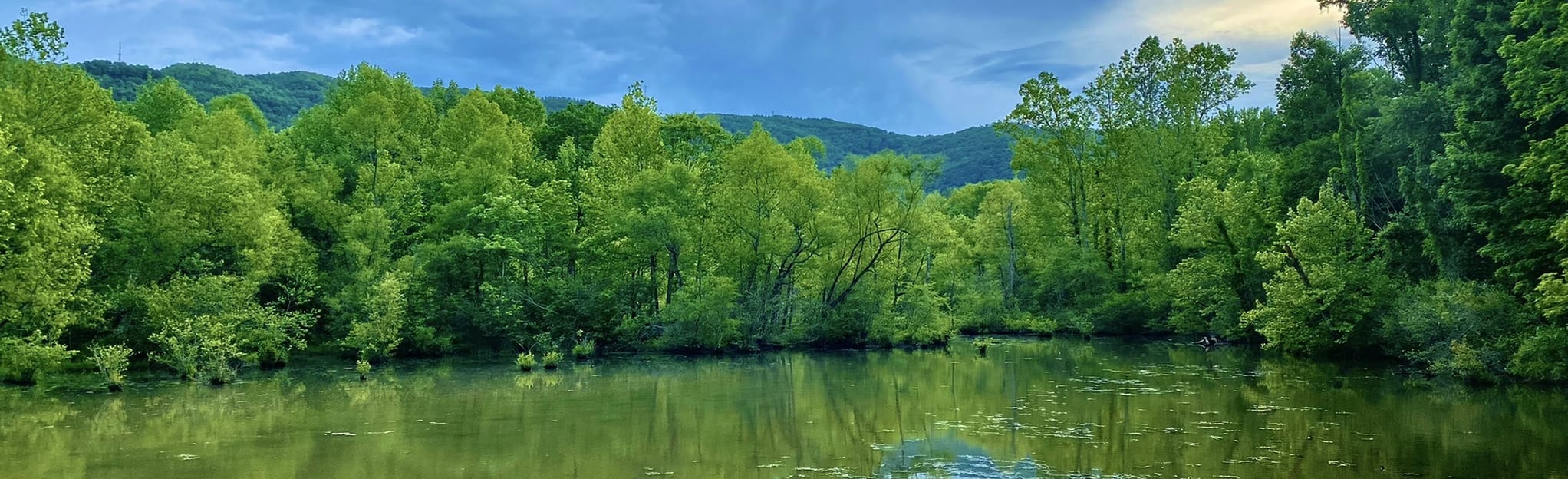 Cove Lake Paved Walking Trails Loop, Tennessee - 161 Reviews, Map ...