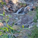 Mount Coot-tha Simpsons Falls Circuit, Queensland, Australia - 241 ...