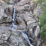 Mount Coot-tha Simpsons Falls Circuit, Queensland, Australia - 241 ...