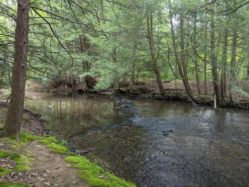 Best Hikes and Trails in Quebec Run Wild Area | AllTrails