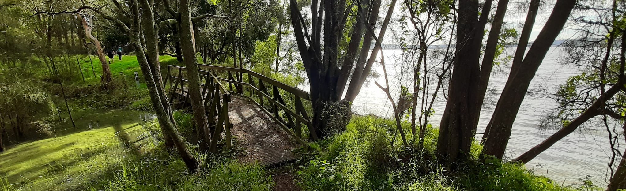 Awaba Bay Walking Trails, 96 Fotos - New South Wales, Australien ...