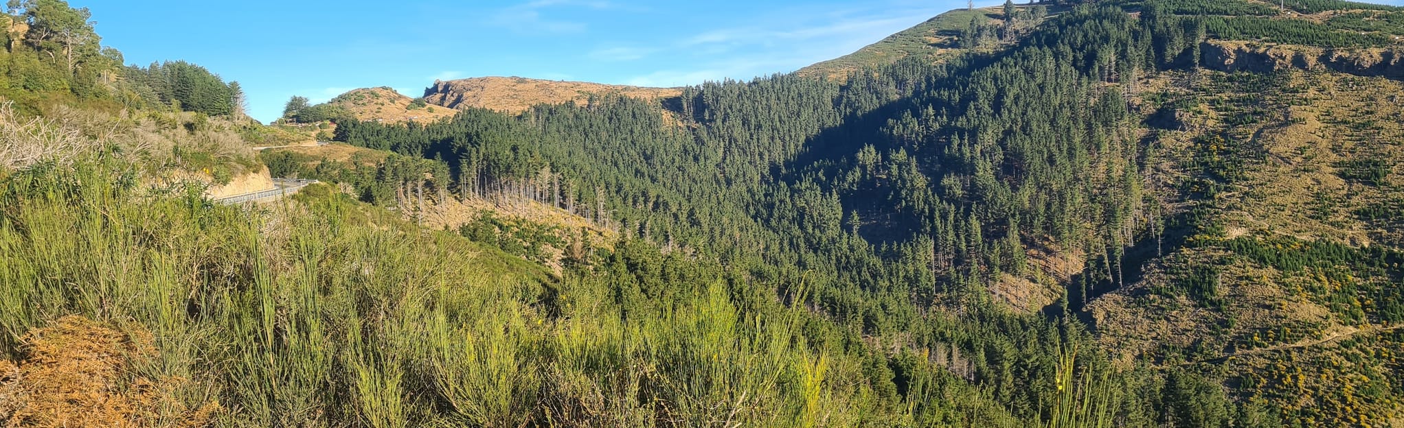 Harry Ell Walkway, Canterbury, New Zealand - 427 Reviews, Map | AllTrails