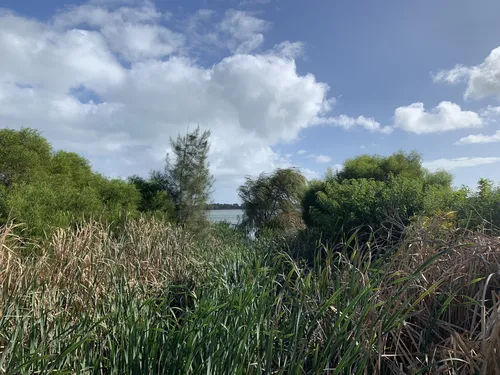 2023 Best Views Trails in Rockingham Lakes Regional Park | AllTrails