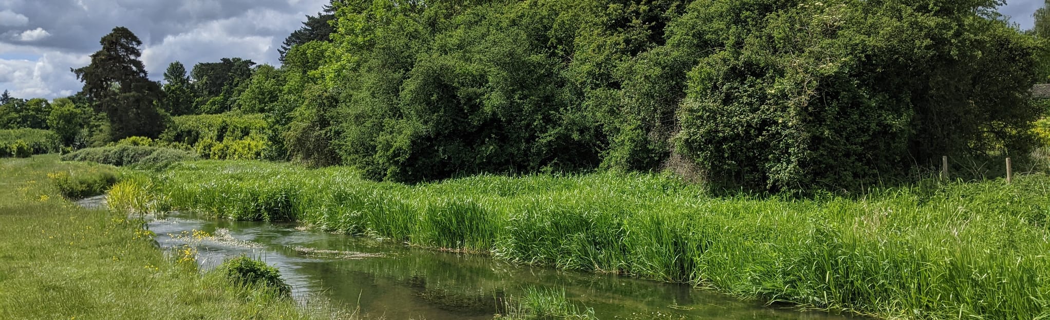Waterford Heath, Marsh and River Beane Circular, Hertfordshire, England ...