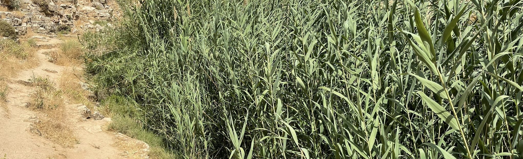 Kfar Adumim and Wadi Quelt Circuit: 13 Fotos - Jerusalem, Israel ...