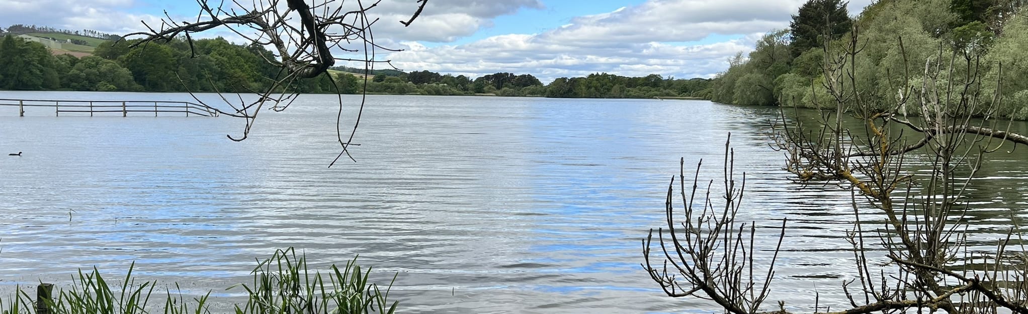 Balgavies Loch, Angus, Scotland - 17 Reviews, Map | AllTrails